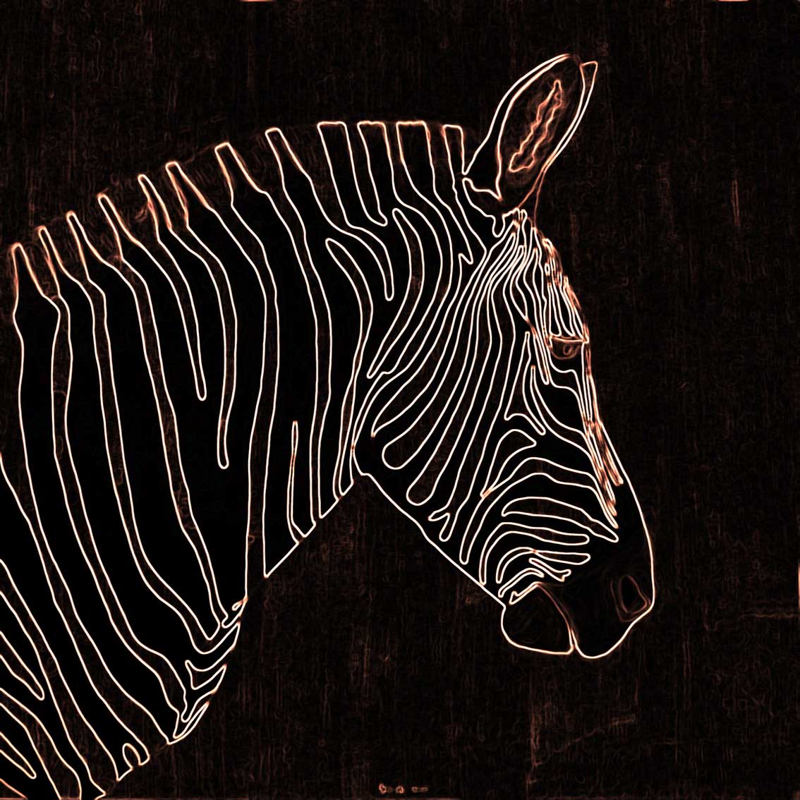 NEON ZEBRA animal-painting-Contemporary animal pai