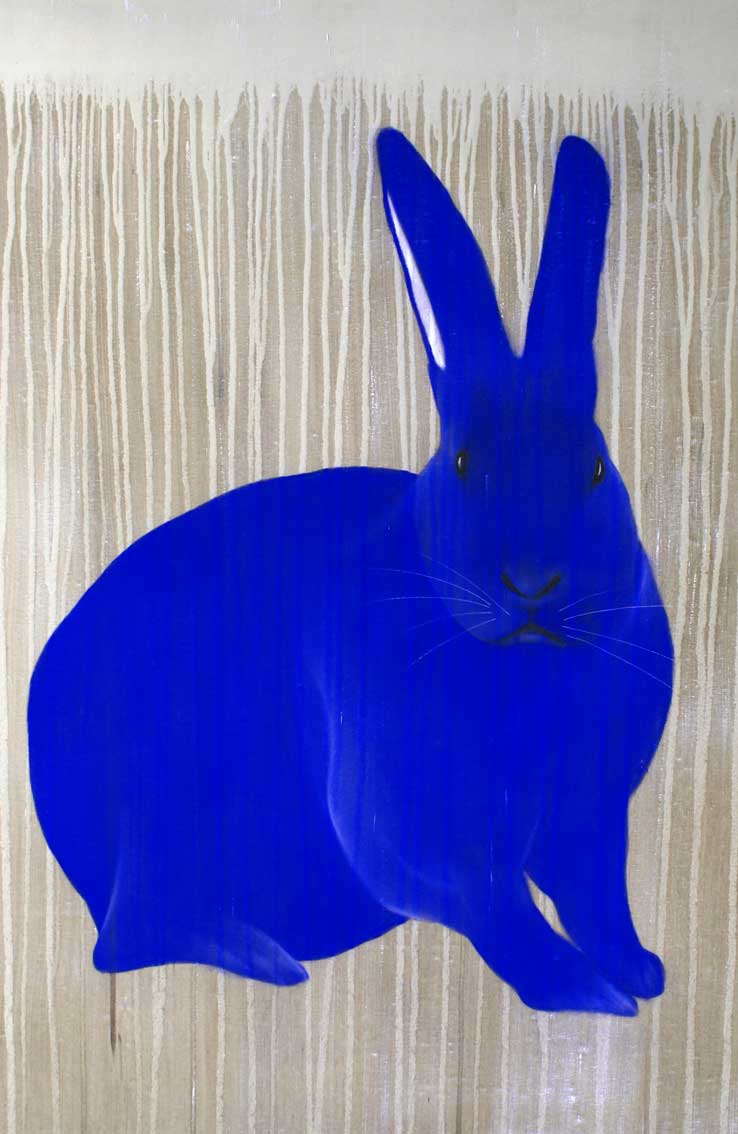 Lapin-bleu Lapin-artiste peintre animalier espèce