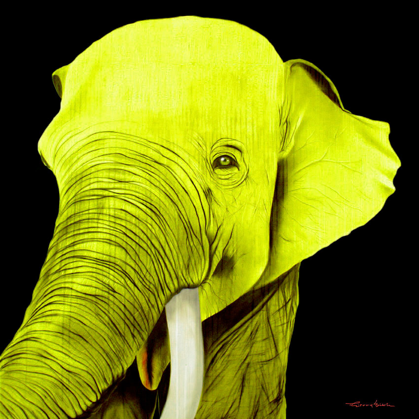 BATUNA LEMON-ELEPHANT- 動物画
